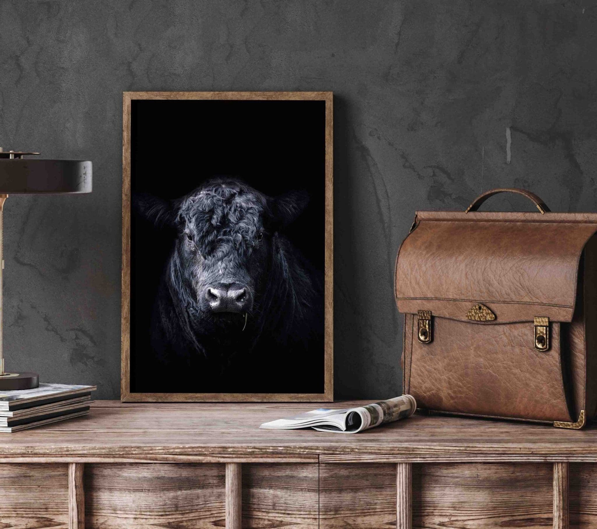 Harry | The Dusty Bull